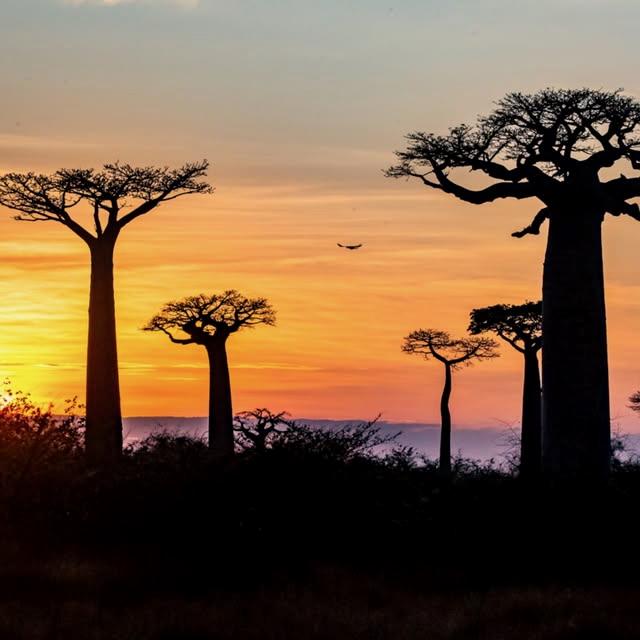 Island of Evolution | Amazing Adventures Travel