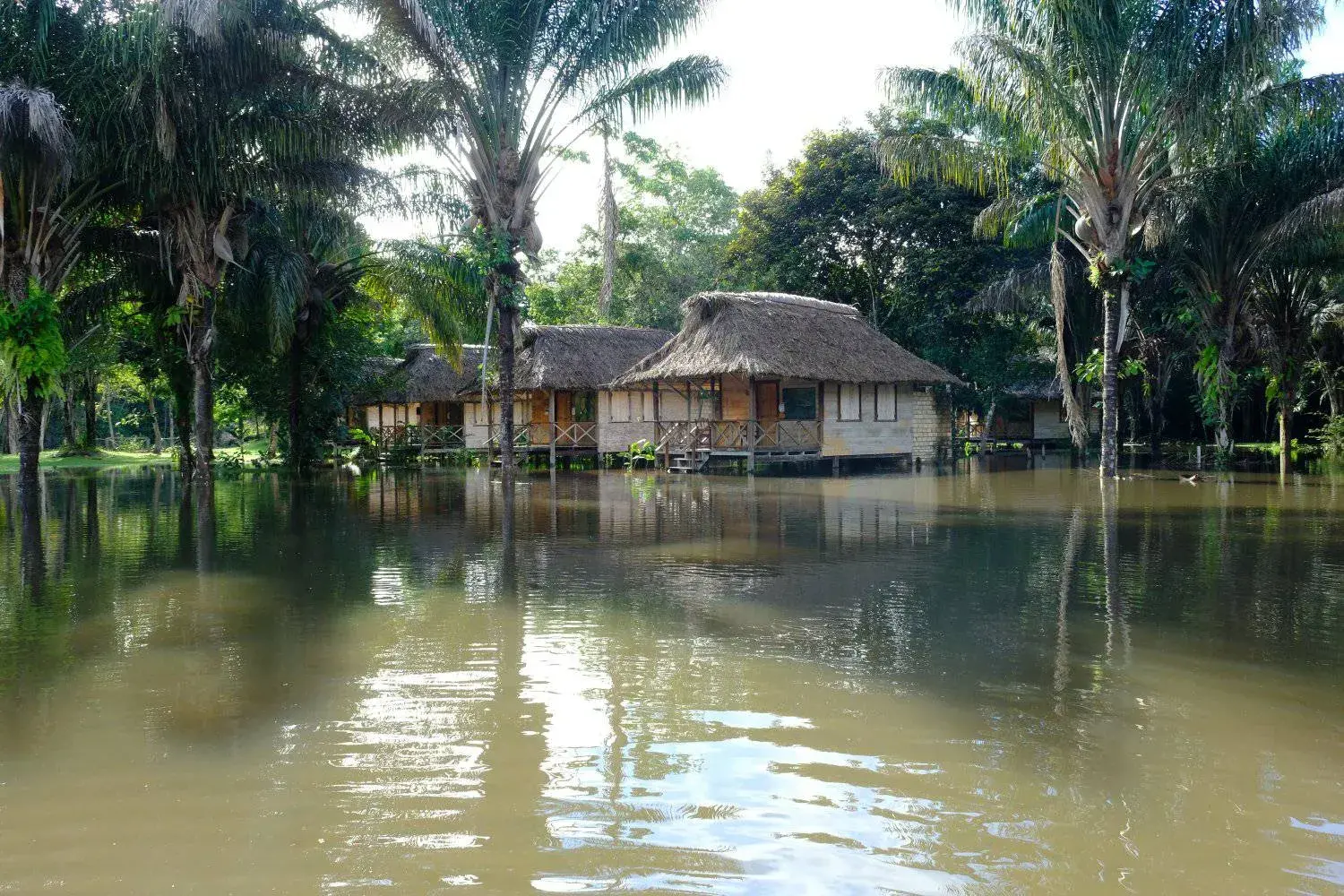 Rewa Eco-Lodge | Amazing Adventures Travel